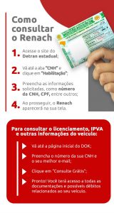 O que é e para que serve o Renach? | DOK Despachante